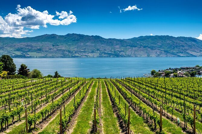 Full-Day Private Okanagan Valley Wine Tour from Kelowna - Key Points: