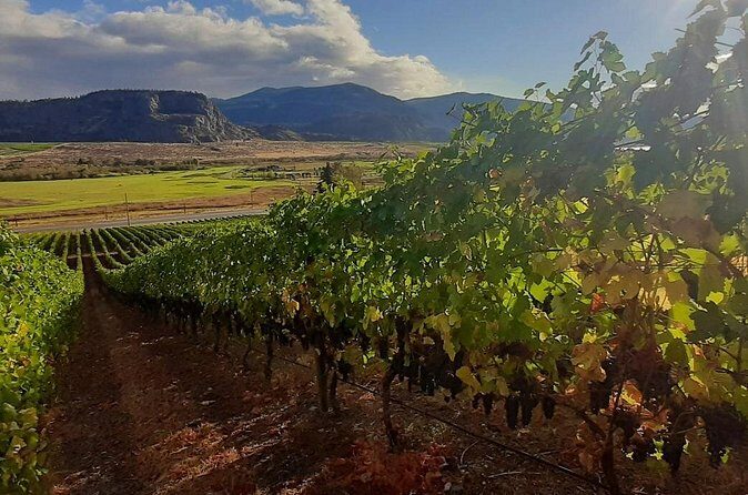 Full-Day Private Oliver & Osoyoos Wine Tour from Kelowna - Who Is This Tour Best For?
