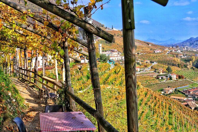 Full day Private Prosecco Tour, with certified Sommelier - A Deep Dive into the Prosecco Experience