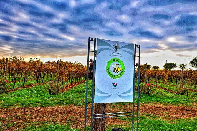 Full day Private Prosecco Tour, with certified Sommelier - FAQ