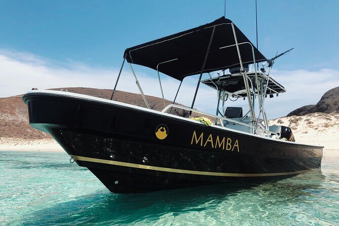 Full Day Private Scuba Diving in Espiritu Santo Island - Exploring the Itinerary: What You Can Expect