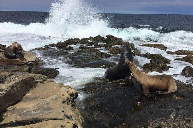 Full Day Private SD Tour from Oceanside - Final Thoughts