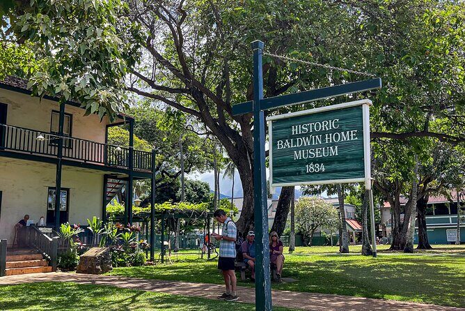 Full Day Private Shore Excursion in Maui from Lahaina Cruise Port - Final Thoughts