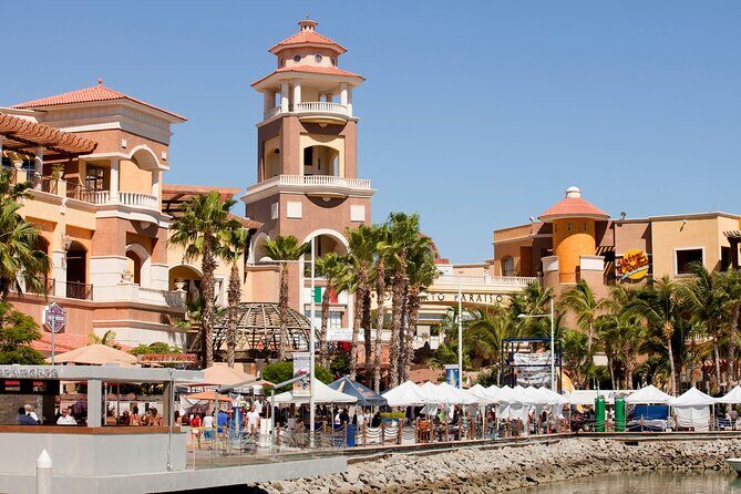 Full Day Private Shore Tour in Cabo San Lucas from Cabo San Port - FAQs