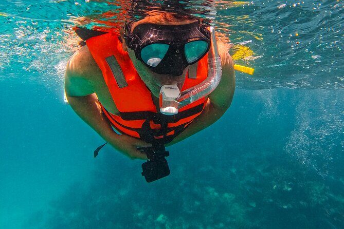 Full-Day Private Snorkel Tour in Tulum and Sian Kaan - Practical Details: Logistics and Tips