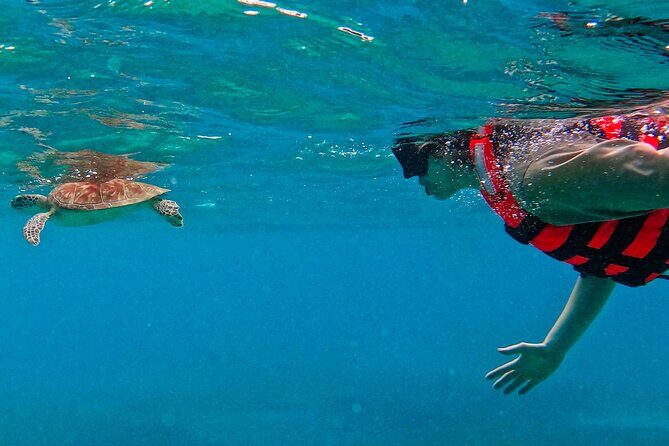 Full-Day Private Snorkel Tour in Tulum and Sian Kaan - Authentic Experiences and Reviewer Insights