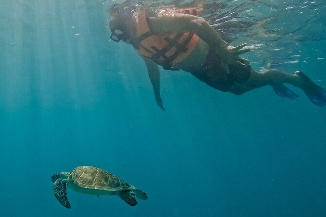Full-Day Private Snorkel Tour in Tulum and Sian Kaan - FAQ