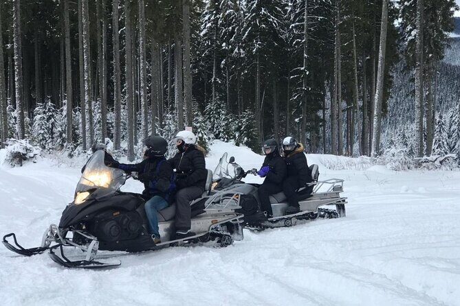 Full Day Private Snow Mobile in Carpathain Mountains - What Makes This Tour Worthwhile?