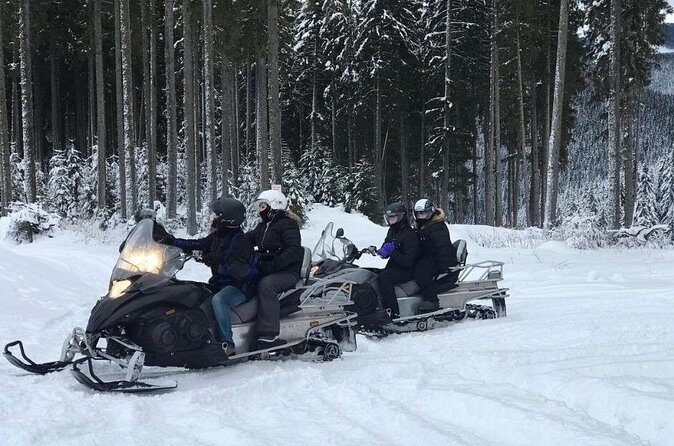 Full Day Private Snow Mobile in Carpathain Mountains - The Sum Up