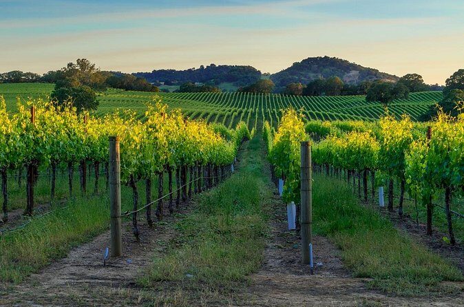 Full-Day Private Sonoma Valley Wine Tour from San Francisco - Frequently Asked Questions