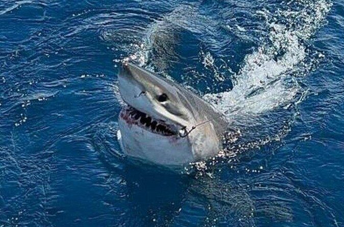 Full Day Private Sportfishing Charter in Fort Lauderdale - FAQs