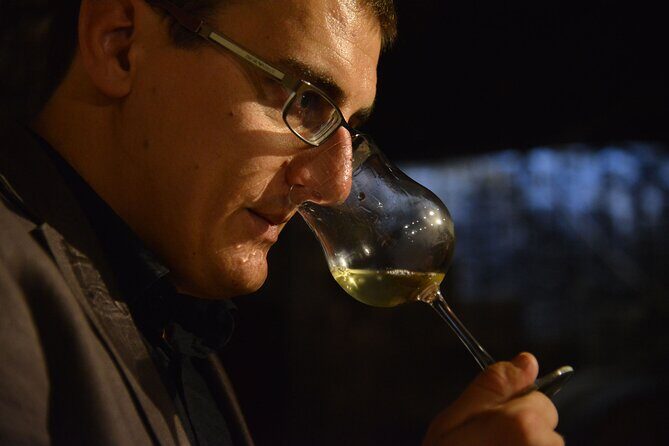 Full Day Private Tour 10 Premiers & Grands Crus, The Best of Burgundy - Who Should Consider This Tour?