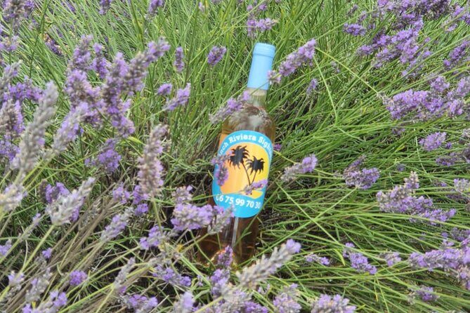 Full Day Private Tour in Lavender and Provence with Pickup - A Comprehensive Look at the Full Day Private Tour in Lavender and Provence with Pickup