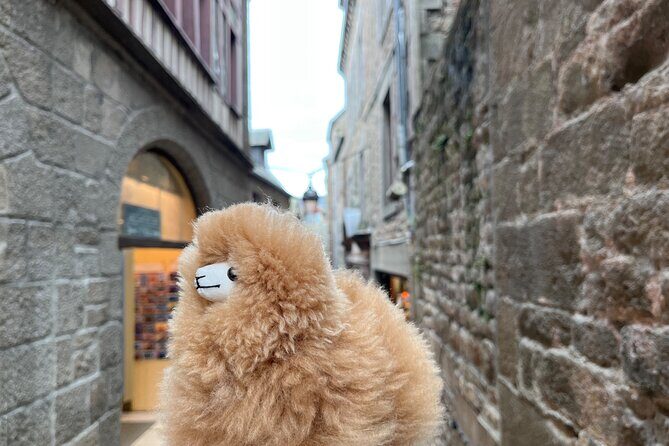 Full-day Private Tour in Mont Saint Michel with Calvados Tasting - Analyzing the Value: Is It Worth It?