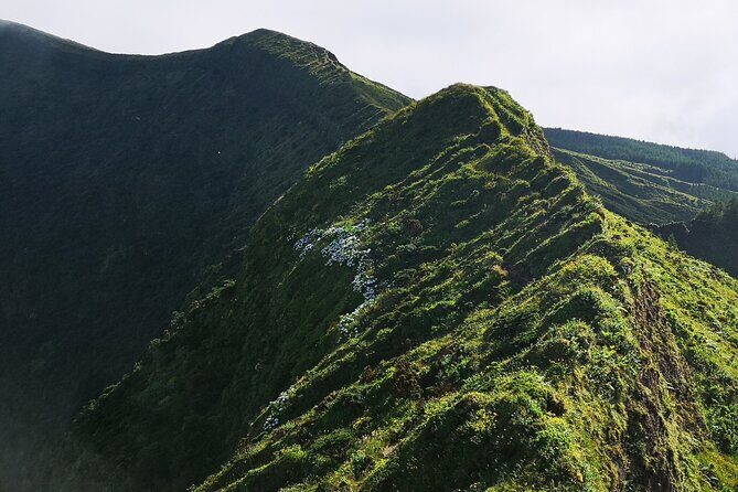 Full-Day Private Tour of Faial - Frequently Asked Questions (FAQs)