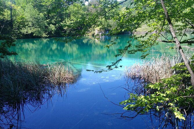 Full-Day Private Tour of Plitvice Lakes National Park from Zadar - Key Points
