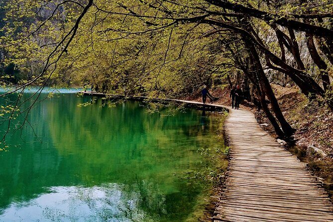 Full-Day Private Tour of Plitvice Lakes National Park from Zadar - Who Is This Tour Best For?