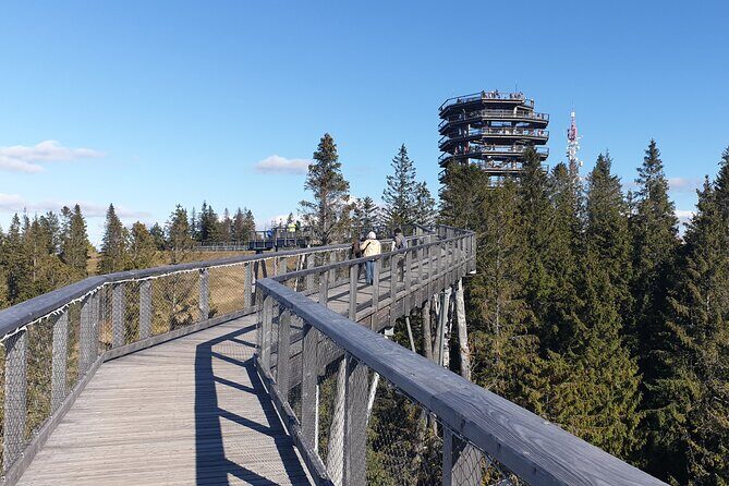 Full-Day Private Tour of Slovakia Treetop Walk and Zakopane - Authentic Experiences from Reviewers