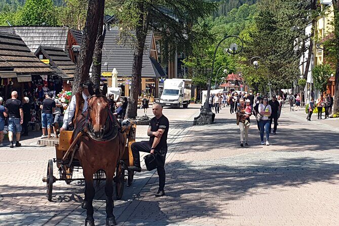 Full-Day Private Tour of Slovakia Treetop Walk and Zakopane - Frequently Asked Questions