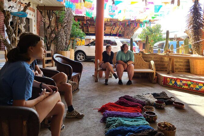 Full-day private tour to Monte Alban and Hierve el Agua - Practical Details and Tips