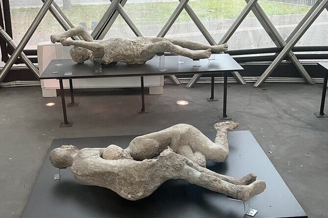 Full Day Private Tour to Pompeii, Herculaneum and Oplontis - Final Thoughts