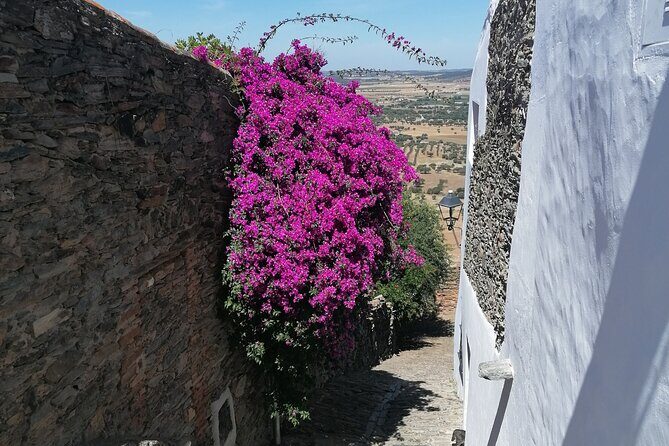 FULL DAY Private Tour to Sintra, Queluz, Cabo da Roca, and Cascais - Key Points