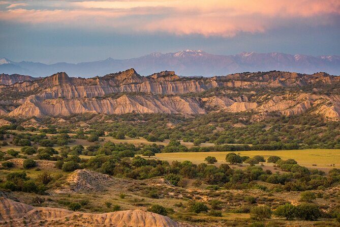 Full-Day Private Wilderness Tour in Vashlovani National Park - What’s Included and What’s Not