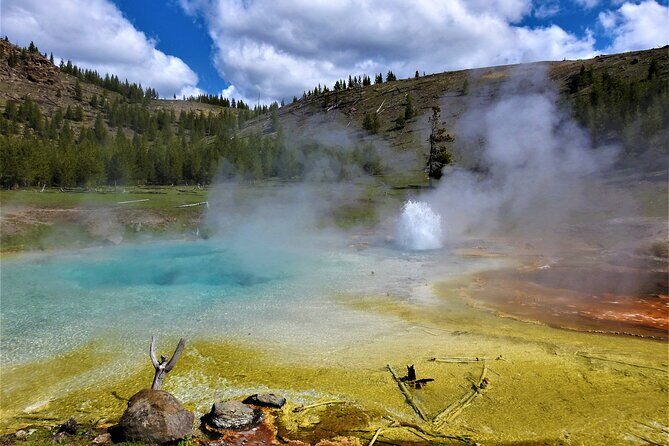 Full Day Private Wildlife/Geyser Tour from West Yellowstone - FAQ