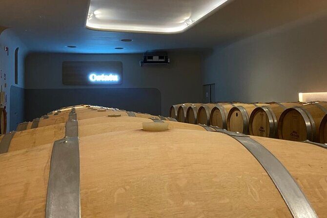 Full-Day Private Wine Tasting Tour in La Rioja with lunch - Final Thoughts