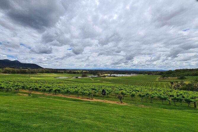 Full Day Private Wine Tour Exclusively Tailored To Suit You - Introducing the Full Day Private Wine Tour in Hunter Valley