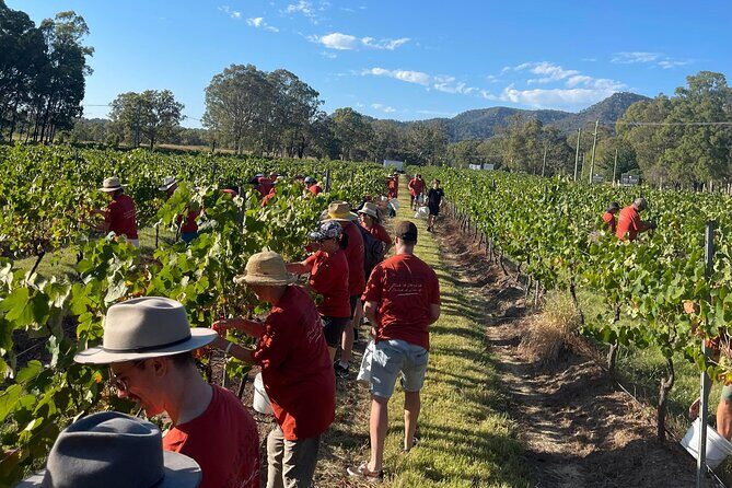 Full Day Private Wine Tour Exclusively Tailored To Suit You - Key Points