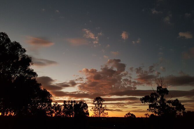 Full Day Private Wine Tour Exclusively Tailored To Suit You - Authentic Experiences and Reviewer Insights