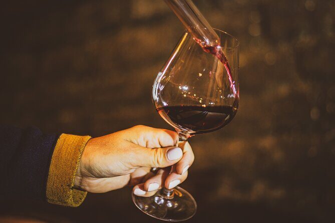 Full-Day Private Wine Tour in Côte de Nuits - Analyzing the Value