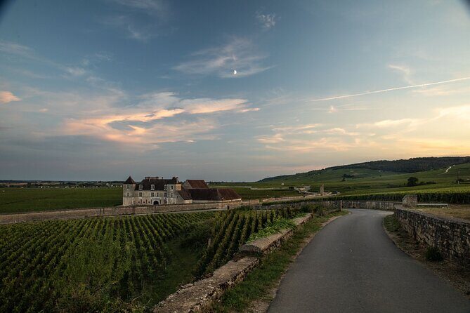 Full-Day Private Wine Tour in Côte de Nuits - Who Should Book This Tour?