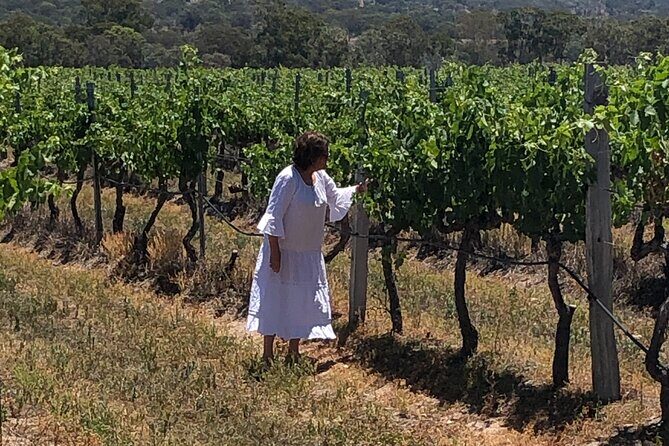Full-Day Private Wine Tour of the Stanthorpe Area with Lunch - In-Depth Review of the Full-Day Private Wine Tour in Stanthorpe