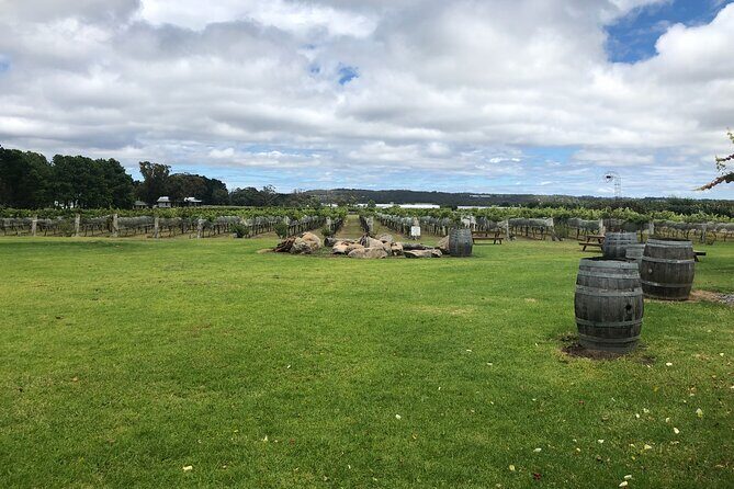 Full-Day Private Wine Tour of the Stanthorpe Area with Lunch - Final Thoughts