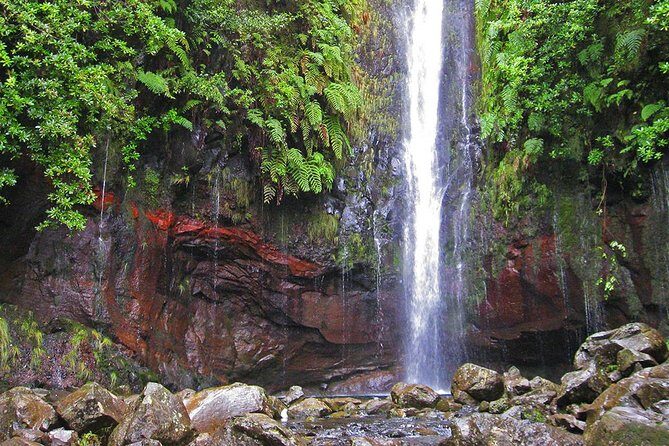 Full-Day Rabaçal Levada Walk from Funchal - Overcrowding and Popularity