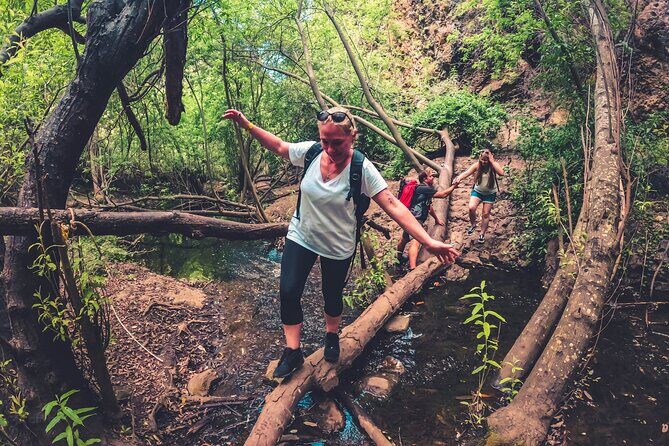 Full Day Rainforest Tour with Tasting and Swimming Time - Transportation & Group Experience