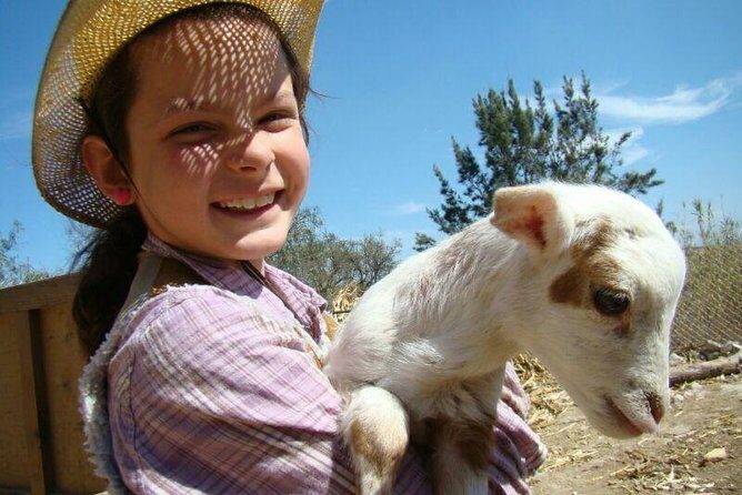 Full-Day Ranch Adventure and Horseback Riding Tour - Discovering the Full-Day Ranch Adventure and Horseback Riding Tour in San Miguel de Allende