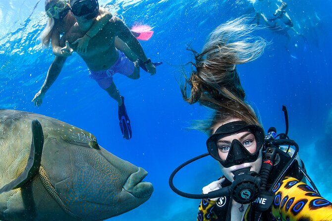 Full Day Reef Cruise and 10 Minute Helicopter Scenic Flight - What Sets This Tour Apart