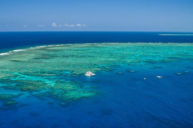 Full Day Reef Cruise and 10 Minute Helicopter Scenic Flight - FAQs