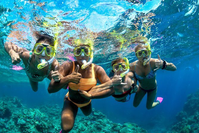 Full Day Reef Cruise and 10 Minute Helicopter Scenic Flight - Final Recommendation