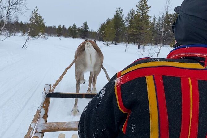 Full-Day Reindeer Tour with Pickup in Kiruna - An In-Depth Look at the Tour Experience