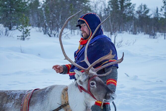 Full-Day Reindeer Tour with Pickup in Kiruna - Who Will Love This Experience?