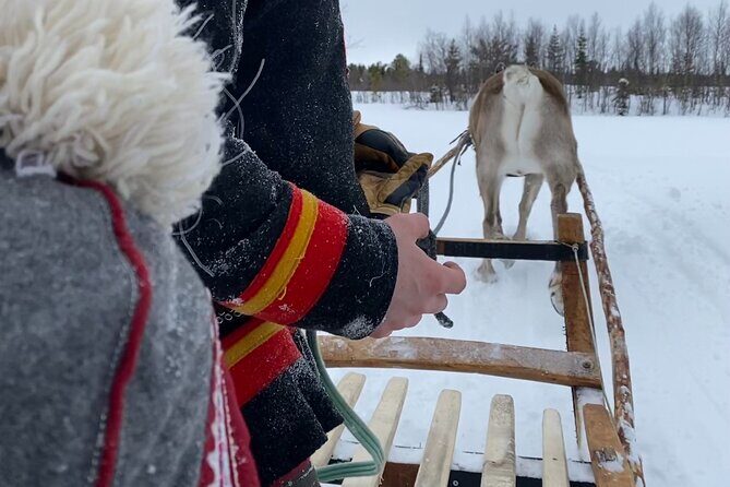 Full-Day Reindeer Tour with Pickup in Kiruna - FAQ