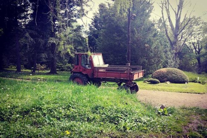 Full day rent car with driver service around Armenia (8-10 hrs) - FAQs