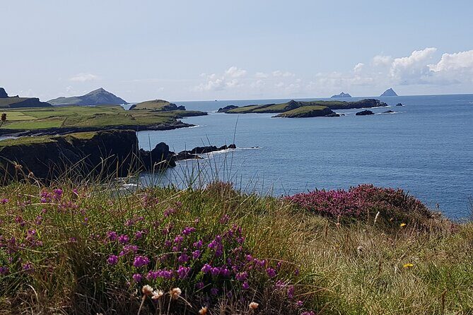 Full-Day Ring of Kerry Tour from Killarney - Food and Refreshments  