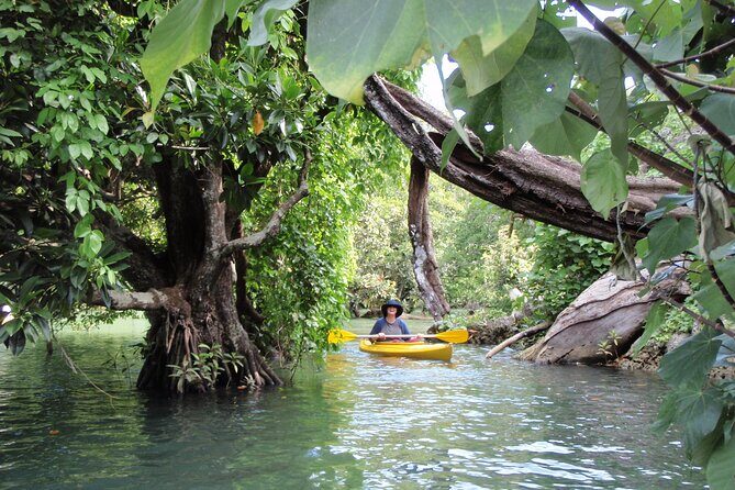 Full Day River Kayaking & Cascades from Port Vila - What to Expect from the Tour