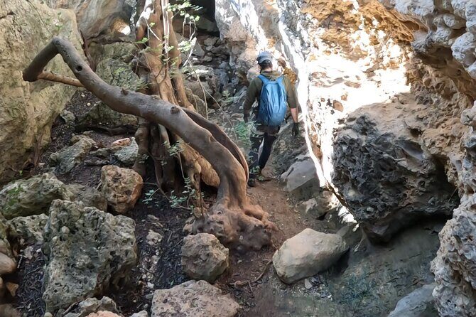 Full Day Rock Climb Adventure Trail from Lisbon with Lunch - Who Would Enjoy This Tour?