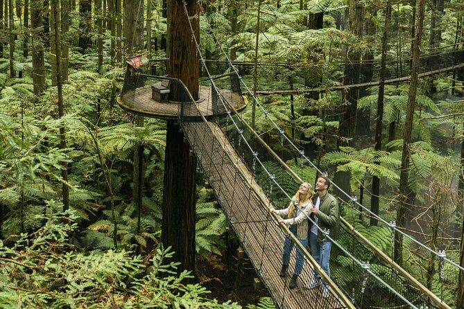 FULL DAY ROTORUA TOUR - Fully Customisable 13 hours Unlimited KMS - The Itinerary: What You Can Expect